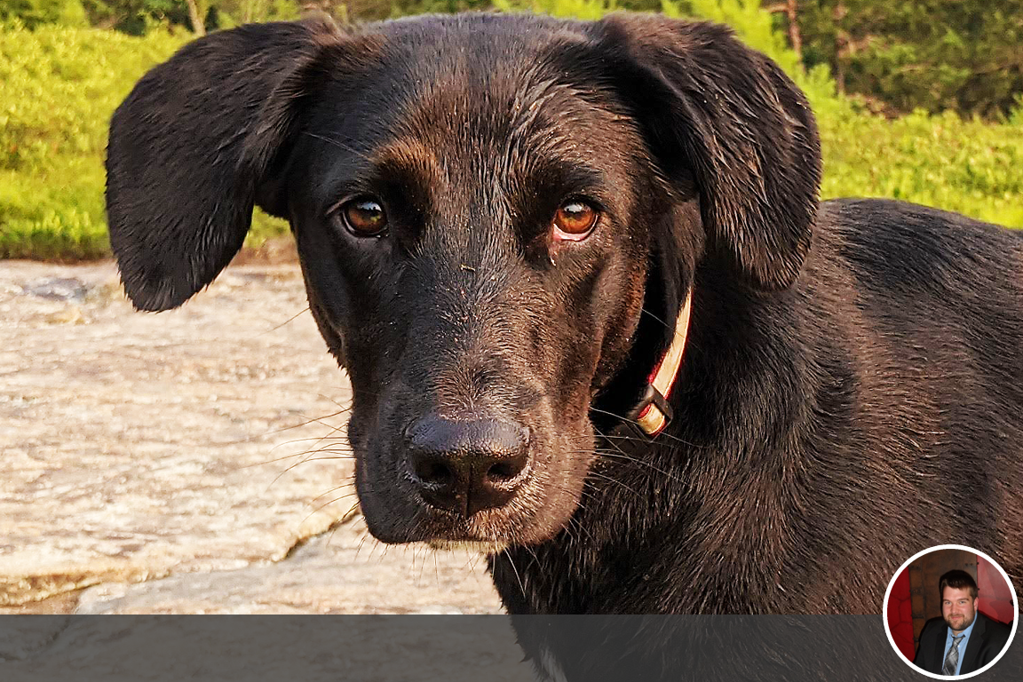 Hallam-ICS: Engineering | Controls | Commissioning | Safety