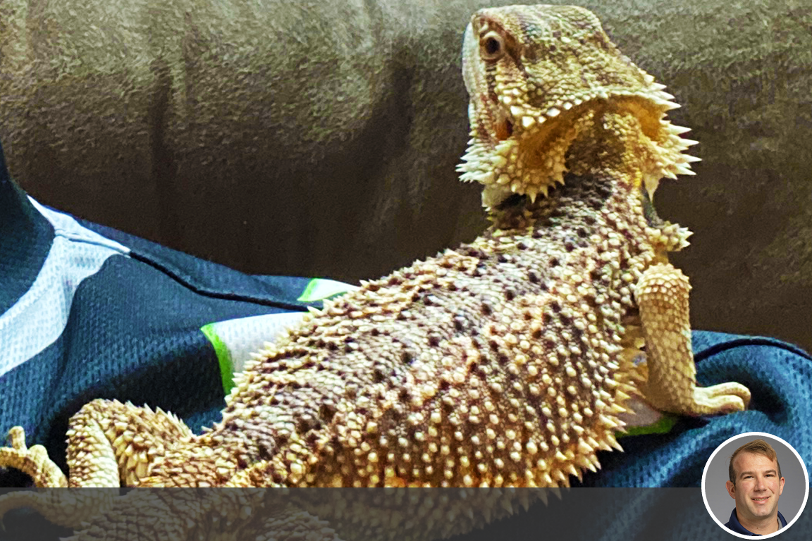 Hallam-ICS: Engineering | Controls | Commissioning | Safety