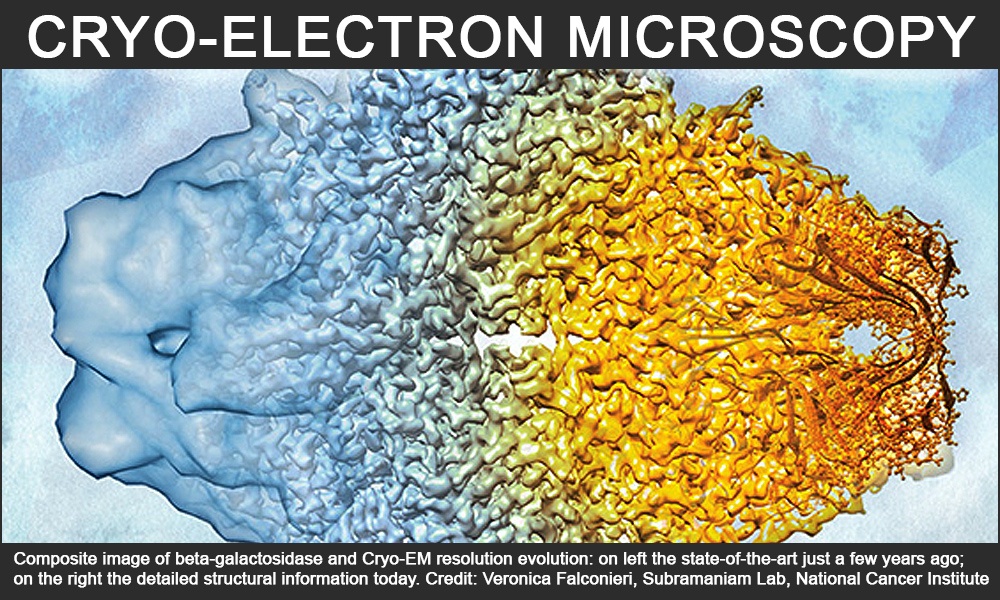 Cryo-Electron Microscopy Laboratories – Planning for Success (Part 1 of 3)