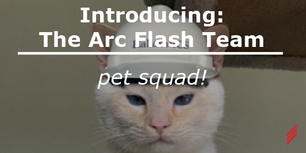 Introducing: The Arc Flash Team Pet Squad!